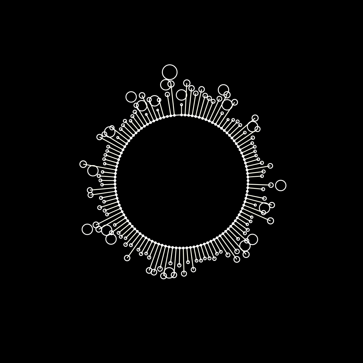 Kinds of “We”: Plural subjects in a Polynesian language - Proceedings ...